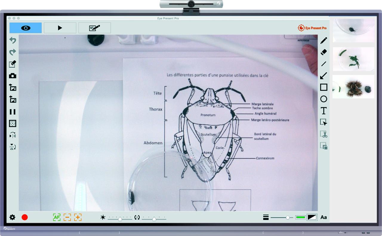 The ultra-powerful Speechi desktop visualizer - Speechi